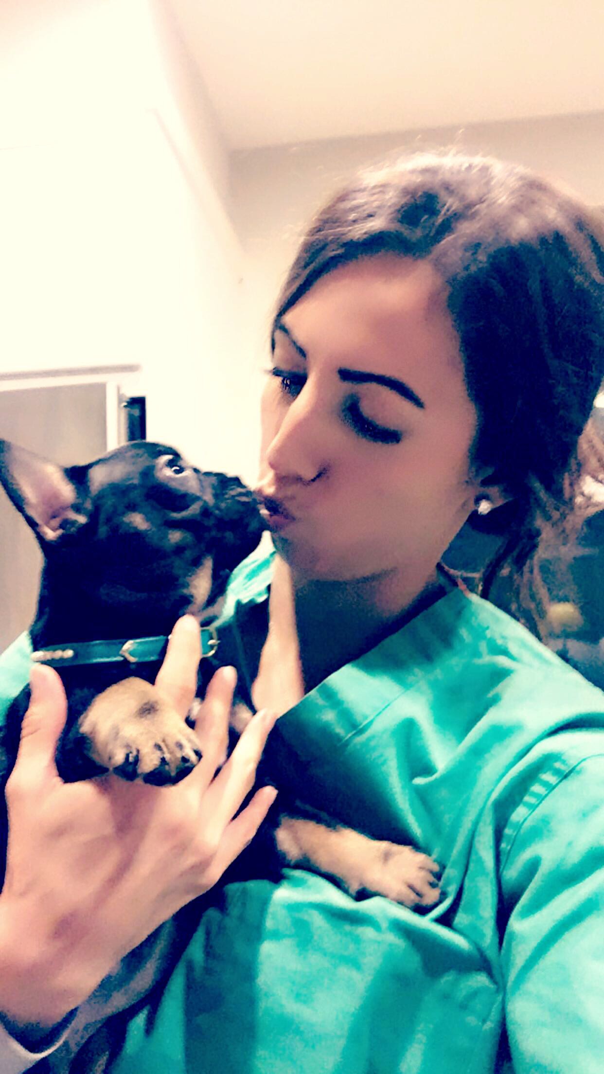 Life with a Frenchie - Dr. Majestic